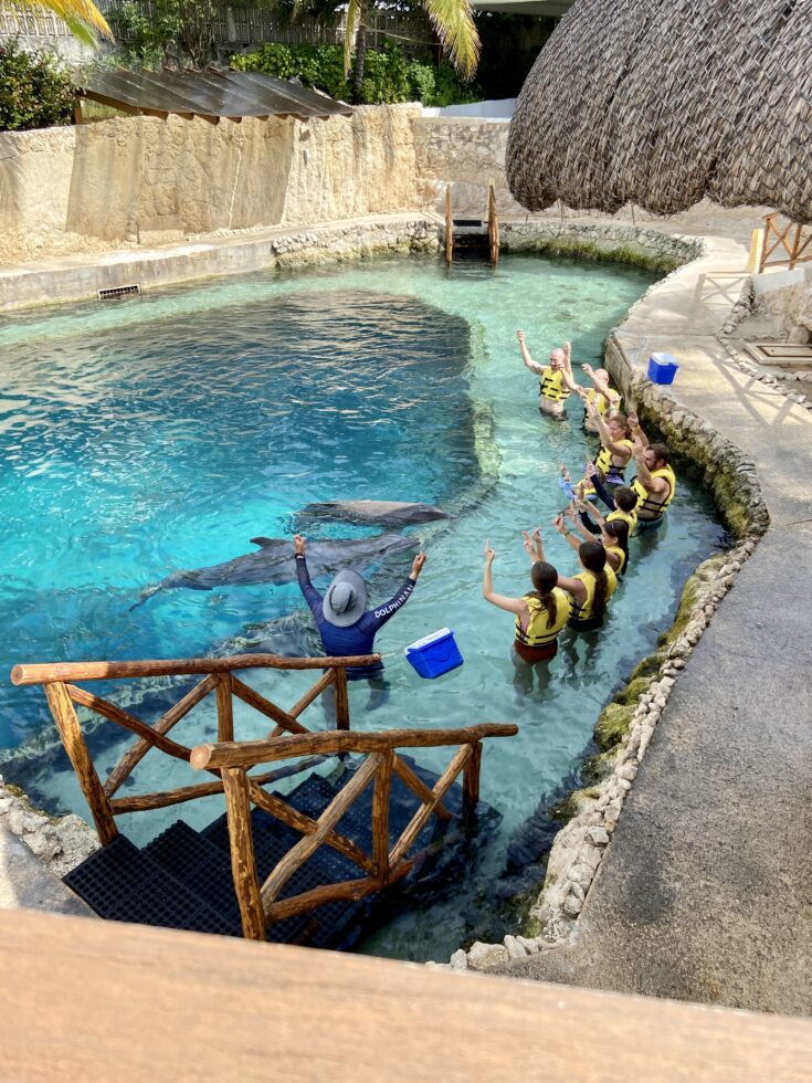 Dolphin Swim at DOLPHINARIS in COZUMEL Review - Lola Lambchops