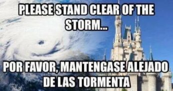 Hilarious Hurricane Memes to Ride Out the Storm - Lola Lambchops