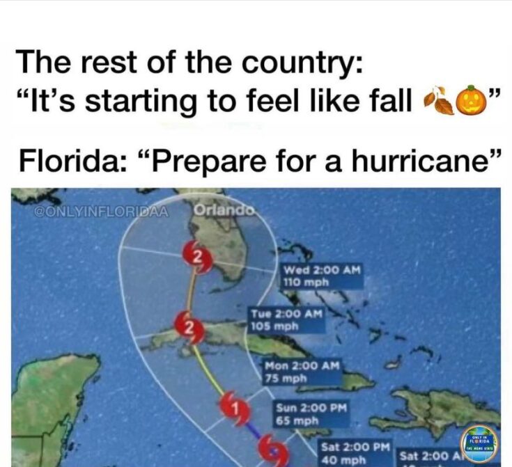 Hilarious Hurricane Memes to Ride Out the Storm - Lola Lambchops