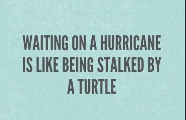 Hilarious Hurricane Memes to Ride Out the Storm - Lola Lambchops