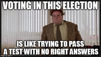 Funny Election Day Memes for 2024 - Lola Lambchops