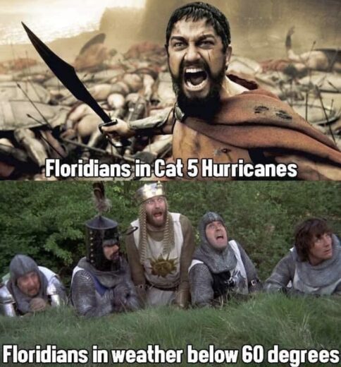 Hilarious Hurricane Memes to Ride Out the Storm - Lola Lambchops