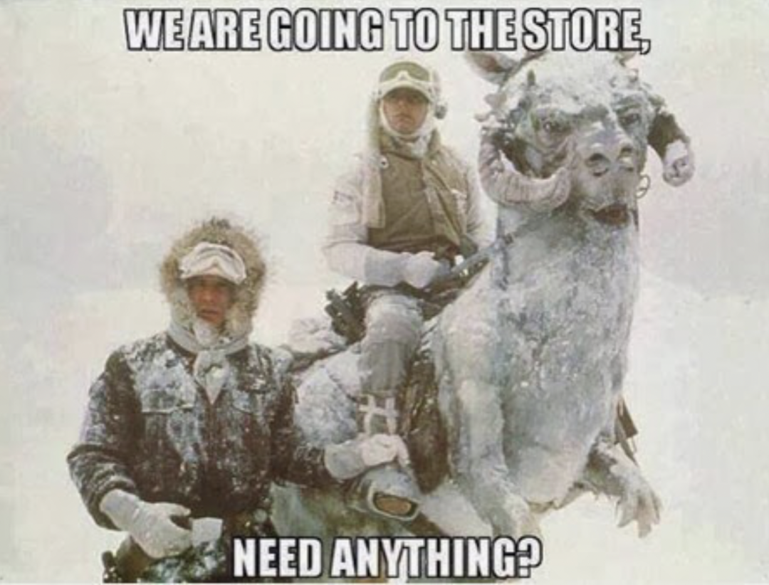 Funny Snow Memes to Get You Through Winter - Lola Lambchops