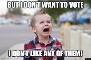 Funny Election Day Memes for 2024 - Lola Lambchops