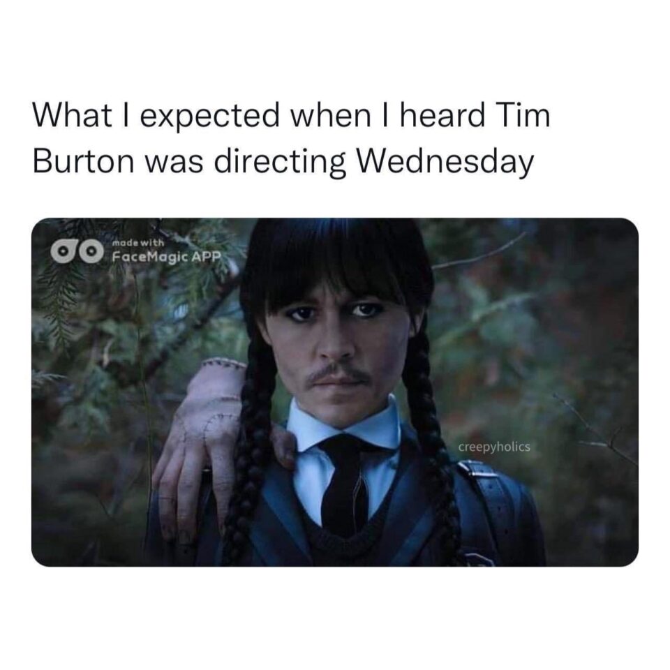 The Best Netflix Wednesday Memes to Respect These Queens - Lola Lambchops