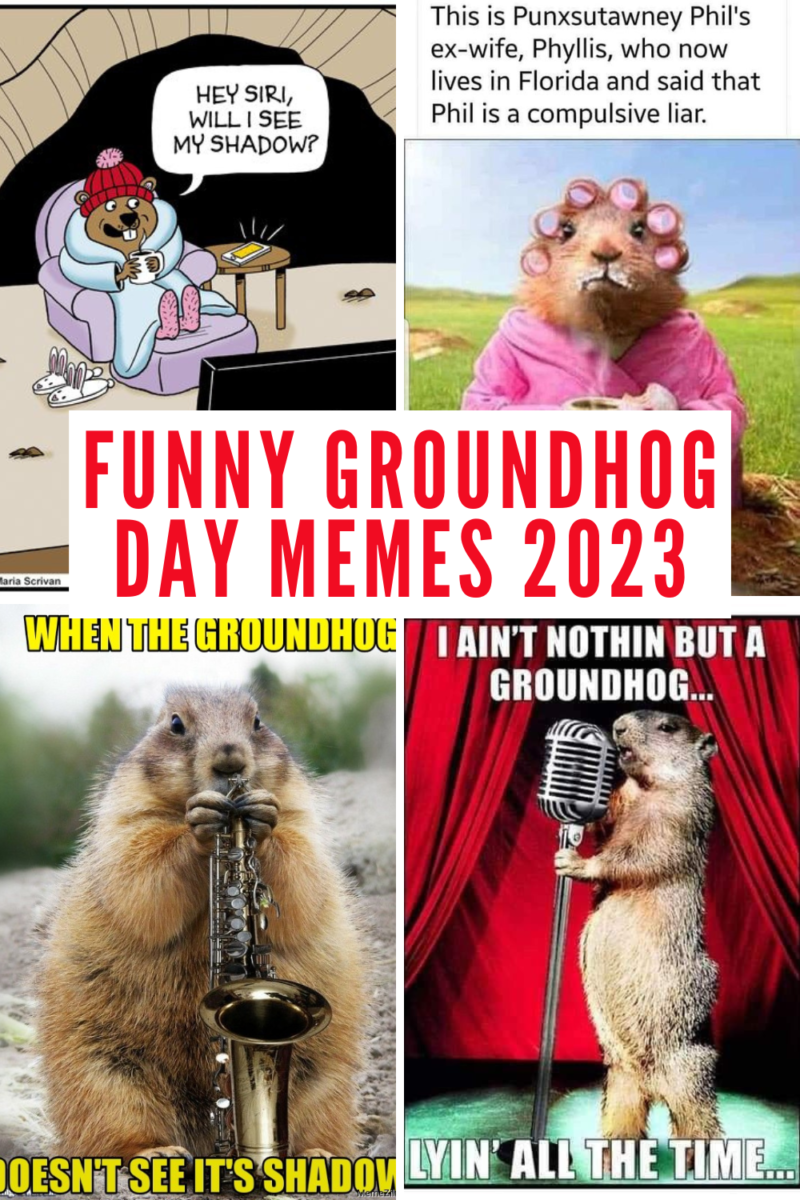 The Funniest 2023 Groundhog Day Memes to Share - Lola Lambchops