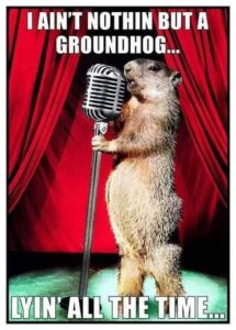 Funniest 2026 Groundhog Day Memes to Share - Lola Lambchops