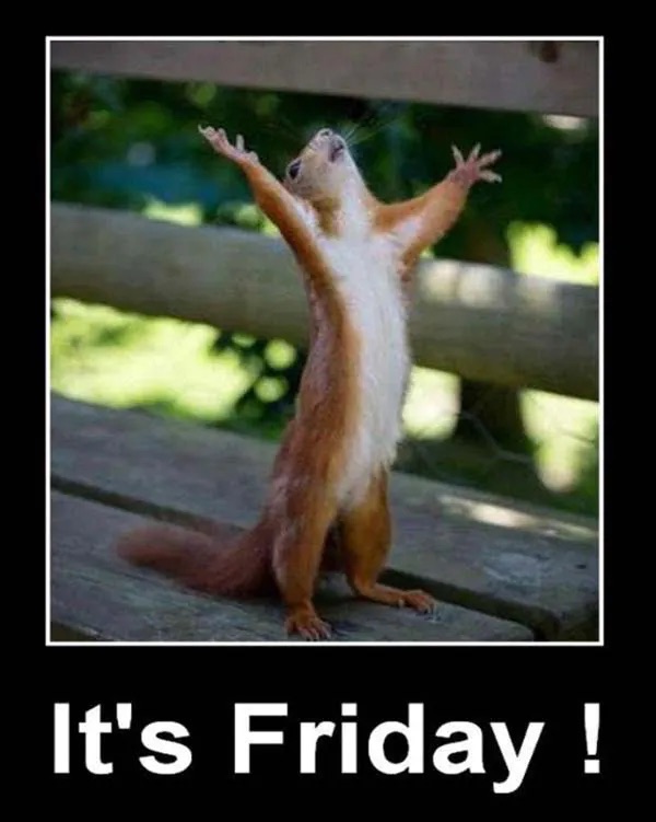 Funny Friday Memes to Celebrate The Weekend - Lola Lambchops