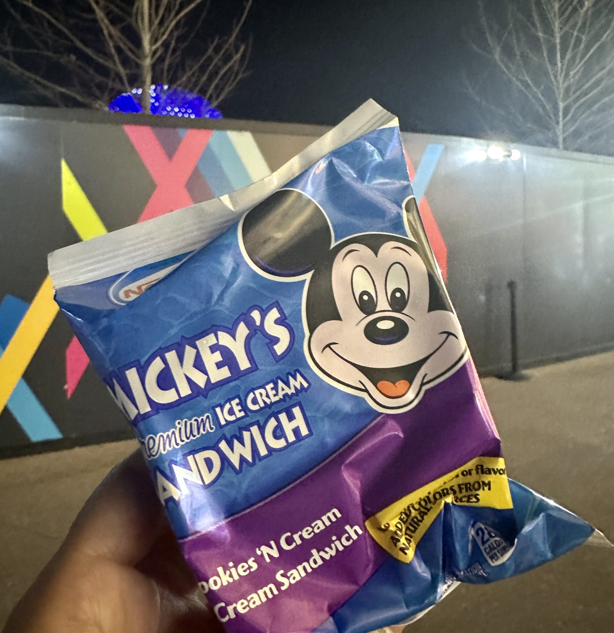 What to Expect at Disney Vacation Club Moonlight Magic 2025 - Lola ...