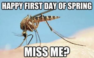 Funny Spring Memes to Welcome Warmer Weather - Lola Lambchops