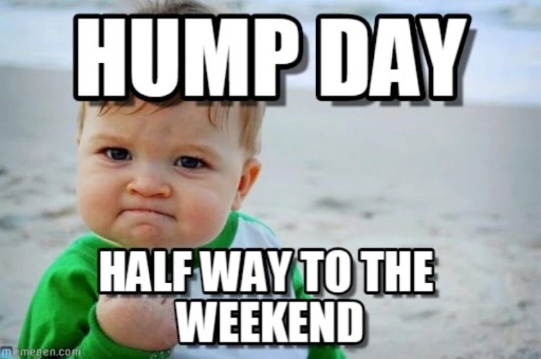 Hilarious Wednesday Hump Day Memes To Make You Laugh - Lola Lambchops