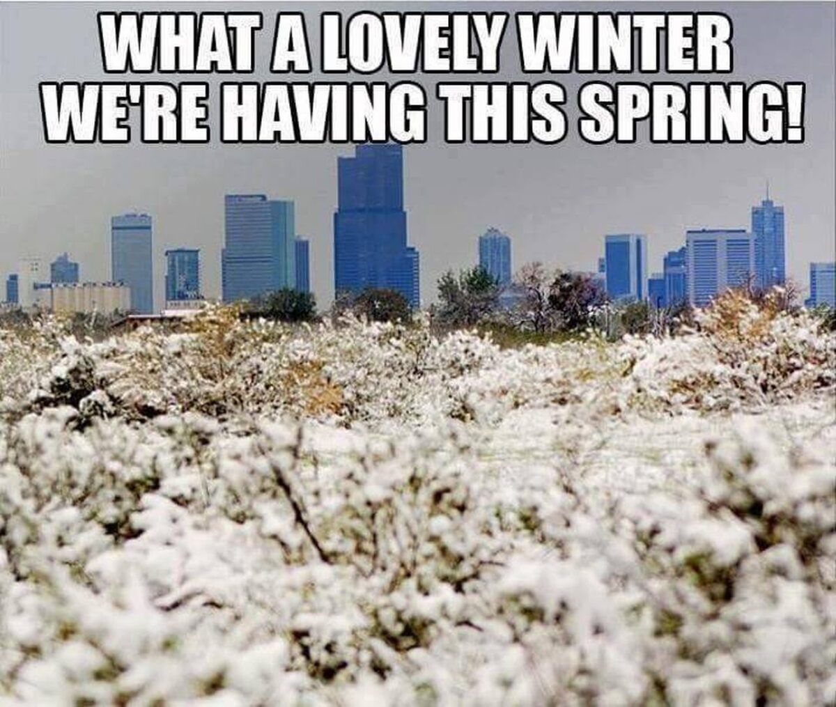 Funny Spring Memes to Welcome Warmer Weather - Lola Lambchops