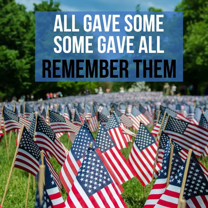 Respectful Memorial Day Memes for 2025 - Lola Lambchops