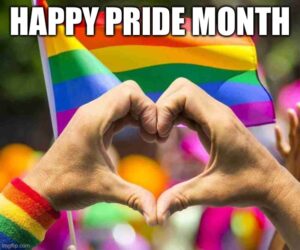 The Best Happy Pride Month Memes to Celebrate in 2025 - Lola Lambchops