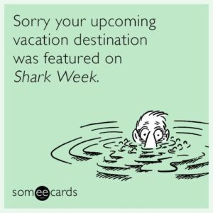 Funny Shark Week Memes for 2024 - Lola Lambchops