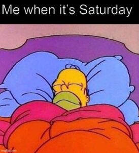 The Best Saturday Memes for Weekend Fun - Lola Lambchops