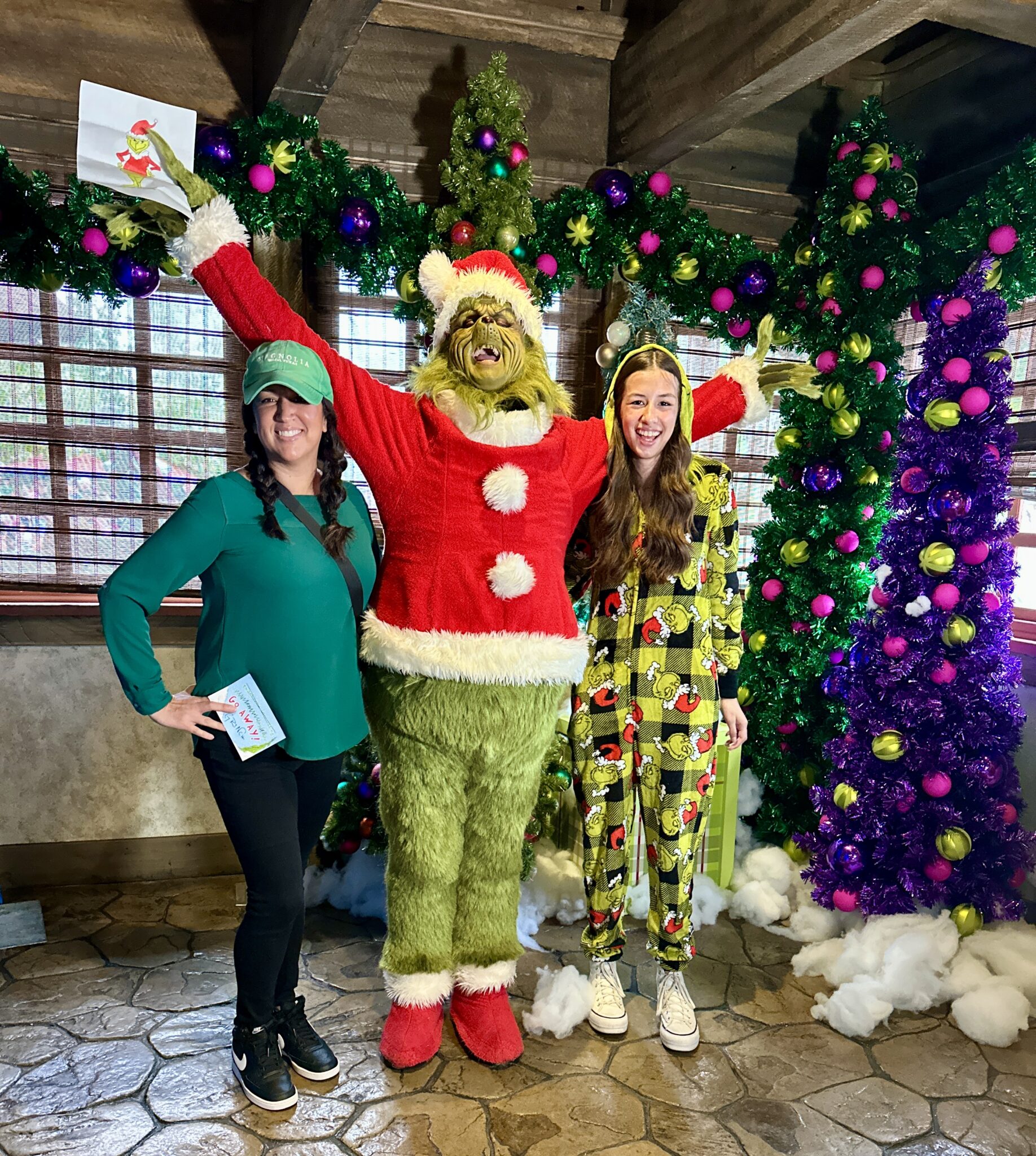 Grinch Character Breakfast at Universal 2023: Is it Worth It? - Lola ...