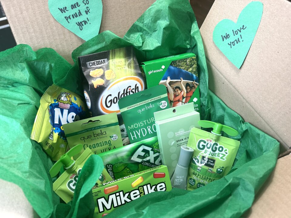 Greenie Package Ideas for Missionaries and Free Printable - Lola Lambchops