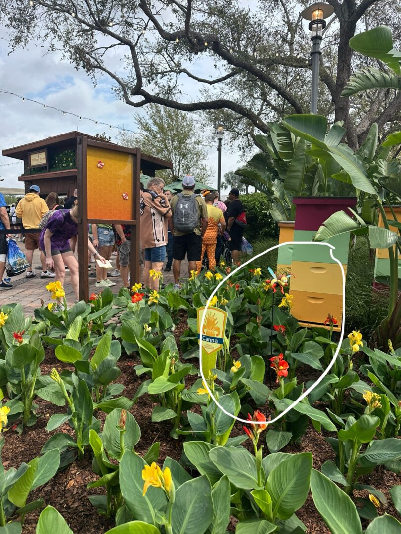 All the Answers to 2025 Spike the Bee's Scavenger Hunt EPCOT - Lola ...