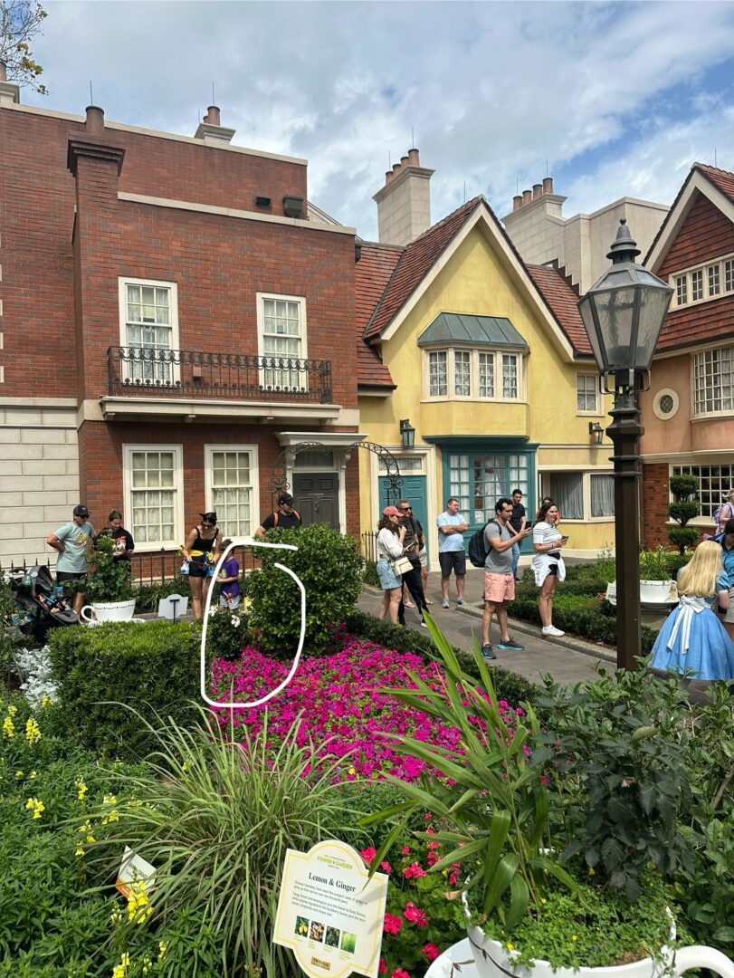 All the Answers to 2025 Spike the Bee's Scavenger Hunt EPCOT - Lola ...