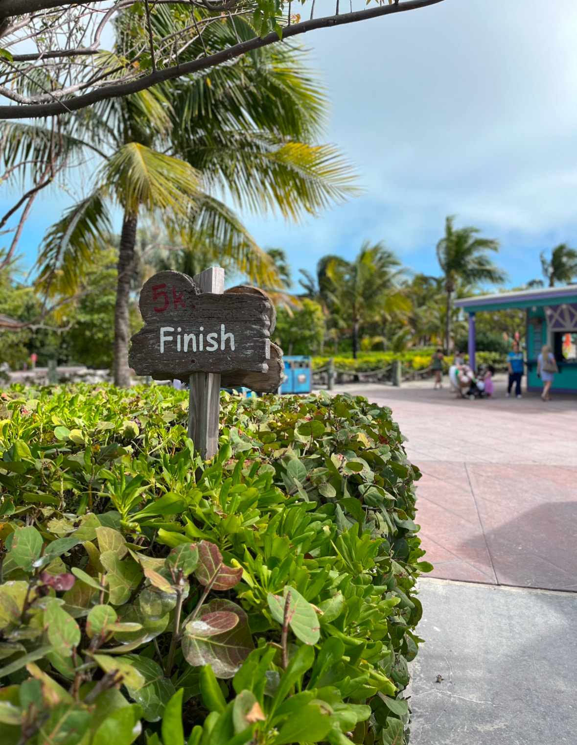 2025 Disney Cruise Line Castaway Cay 5K Details - Lola Lambchops